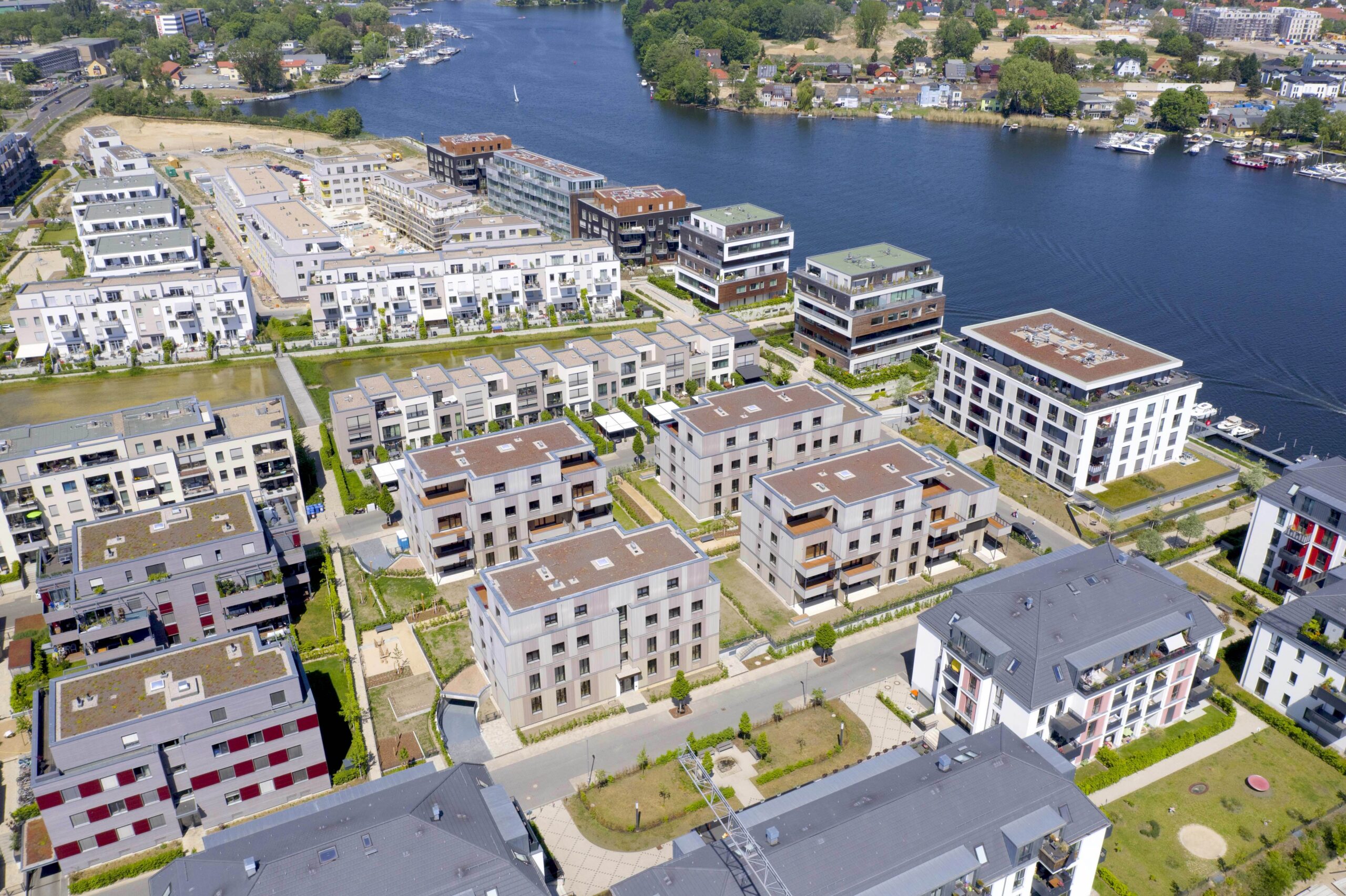 Best-of 2024: Interview mit Daniel Riedl | BUWOG Blog